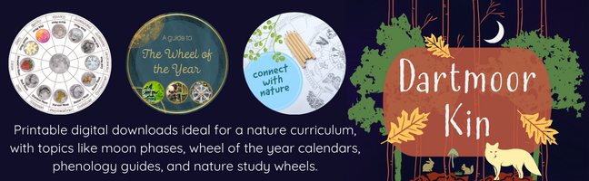 Home Education UK - The Home Ed Daily